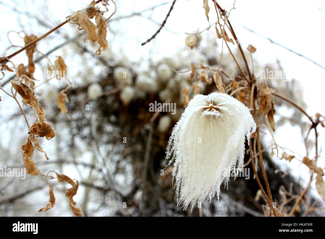 cold old man Stock Photo - Alamy