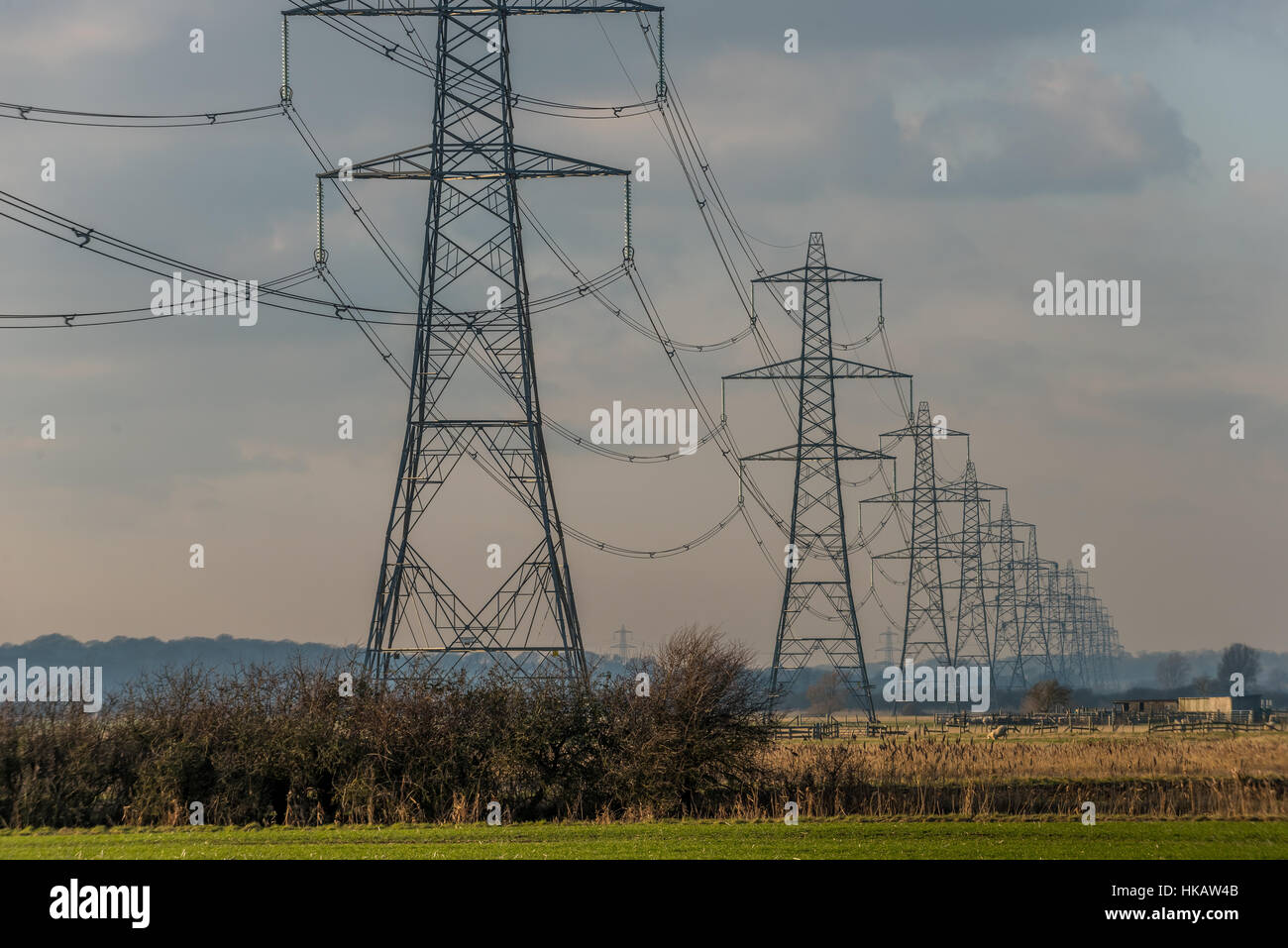 Electricity pylons at Romney Marsh on the Kent and Sussex border Stock ...