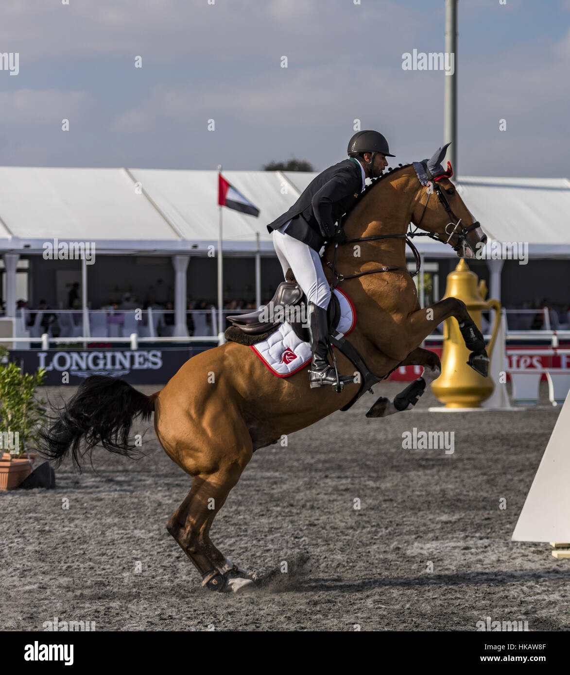 Horse Jumping Championship Stock Photo - Alamy