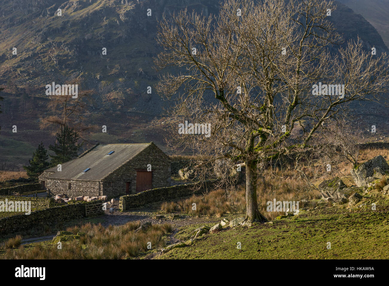 Tongue House in Kentmere in the Lake District Stock Photo - Alamy