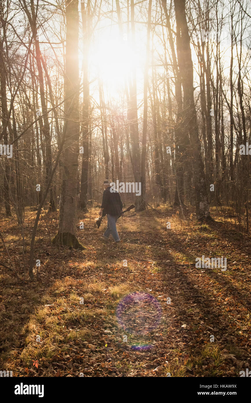 Ruffed grouse hunting in northern Wisconsin Stock Photo - Alamy