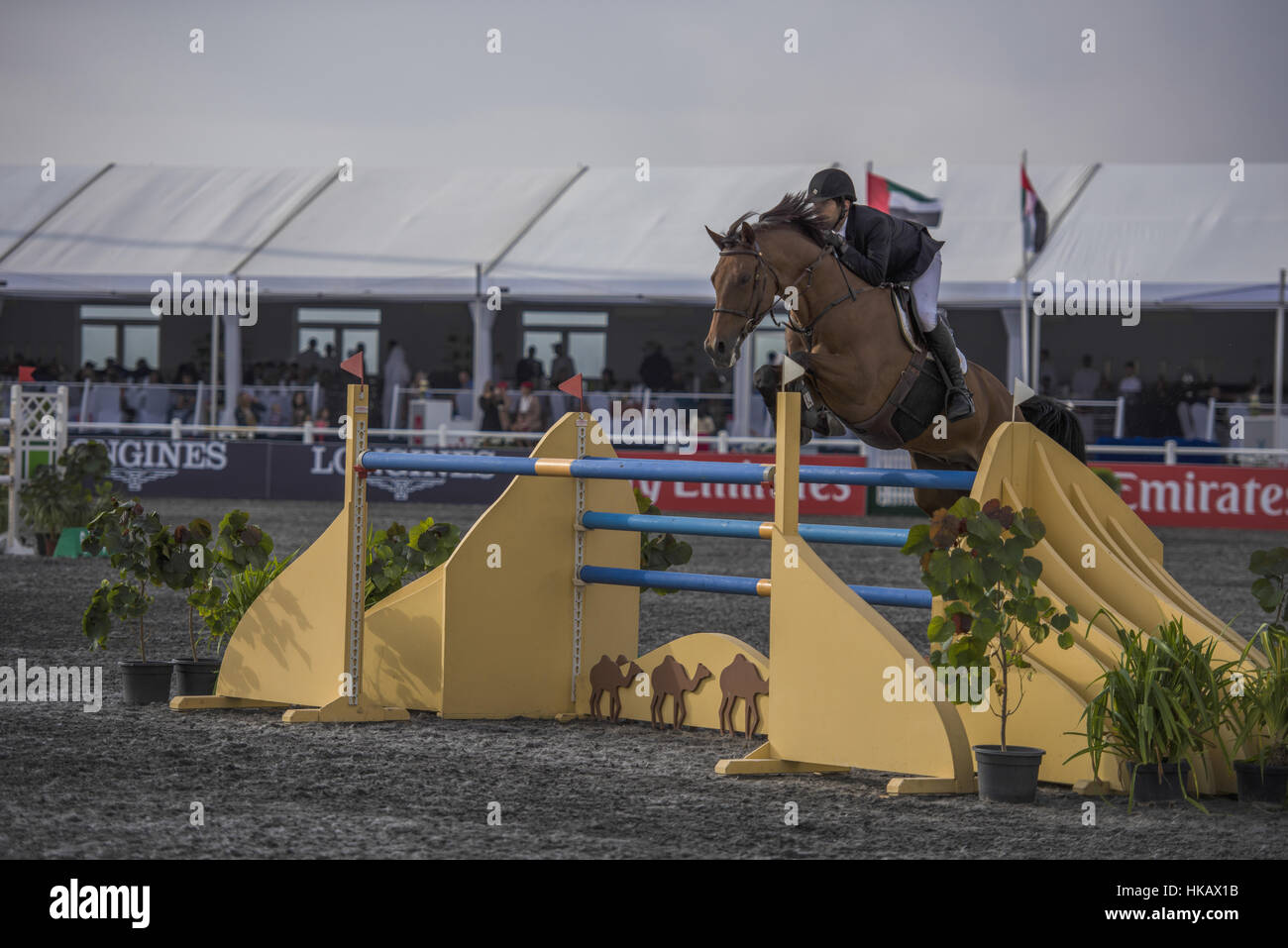 Horse Jumping Championship Stock Photo - Alamy Horse Jumping Championship Stock Photo - Alamy
