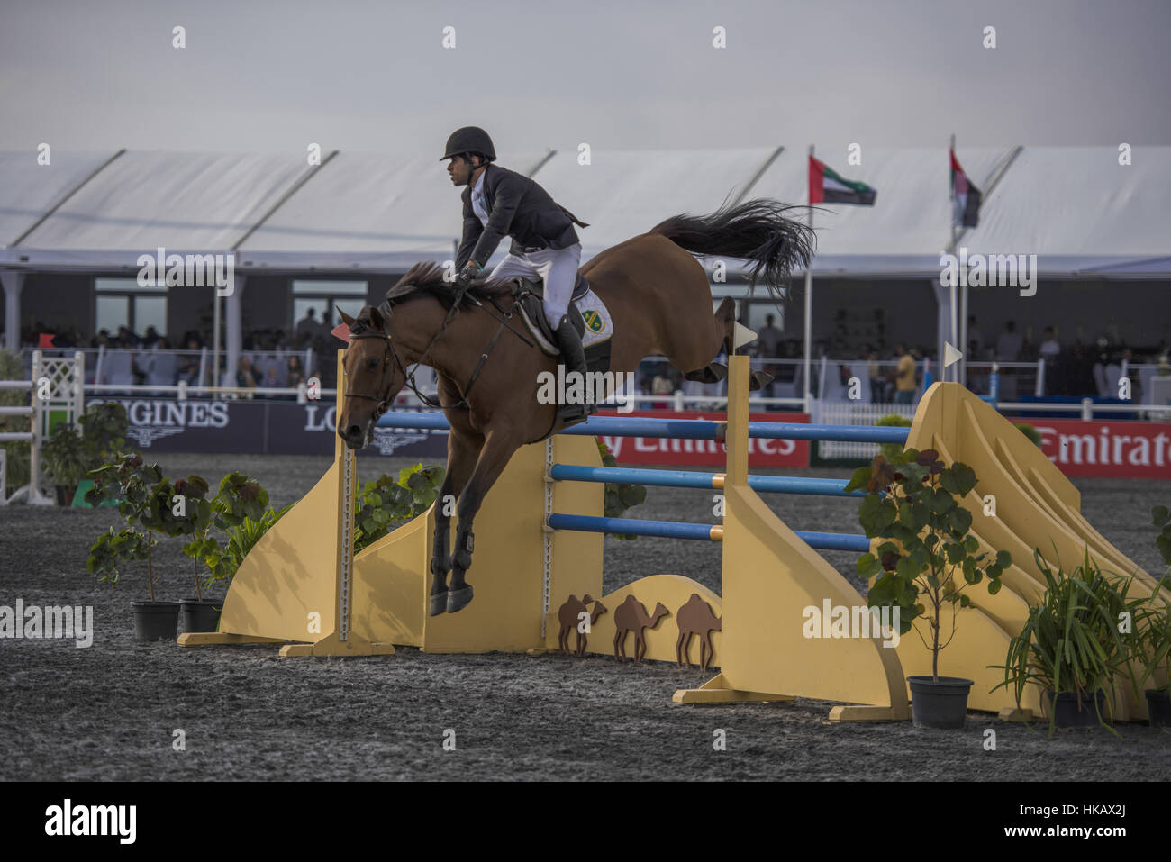 Horse Jumping Championship Stock Photo - Alamy