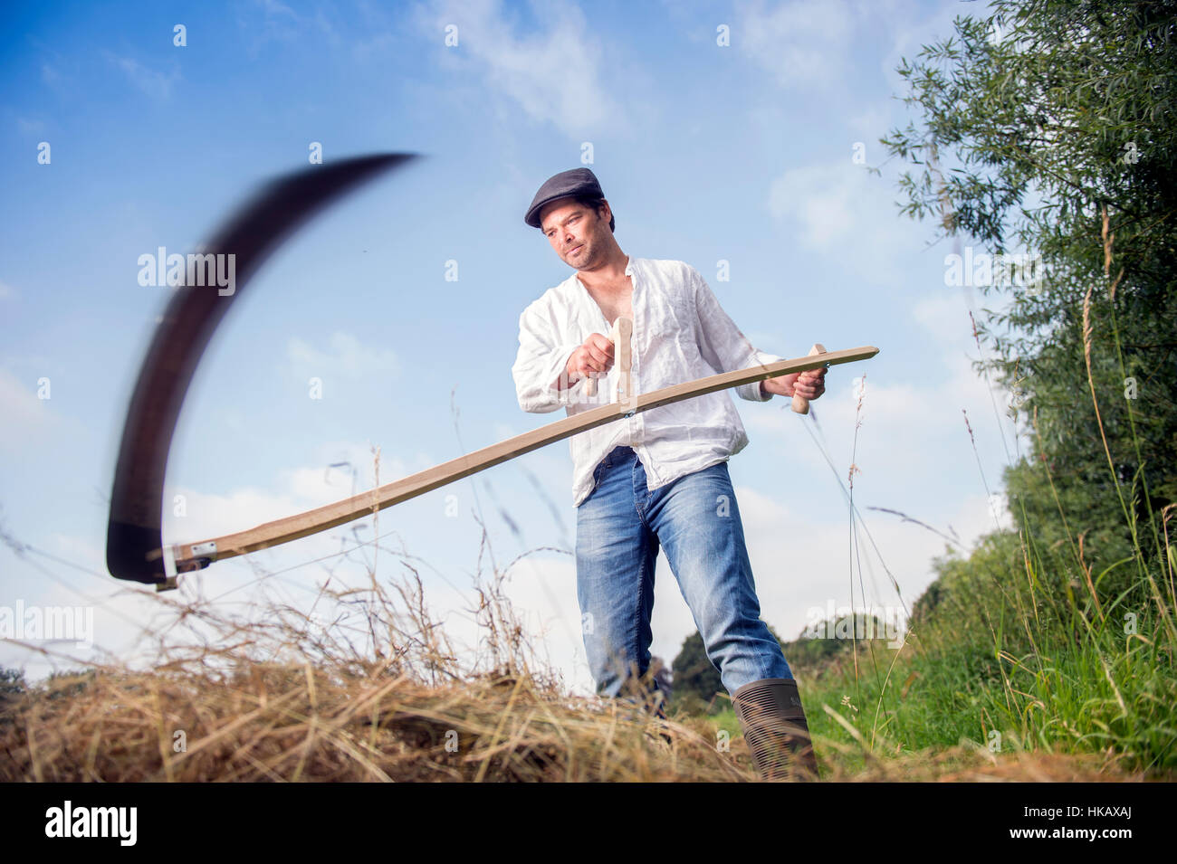 A man scything his field UK Stock Photo - Alamy