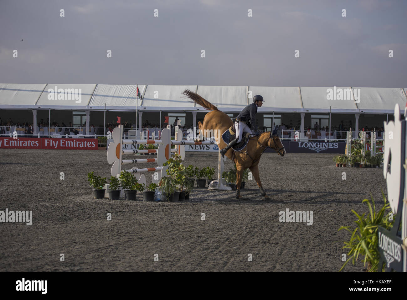 Horse Jumping Championship Stock Photo - Alamy Horse Jumping Championship Stock Photo - Alamy