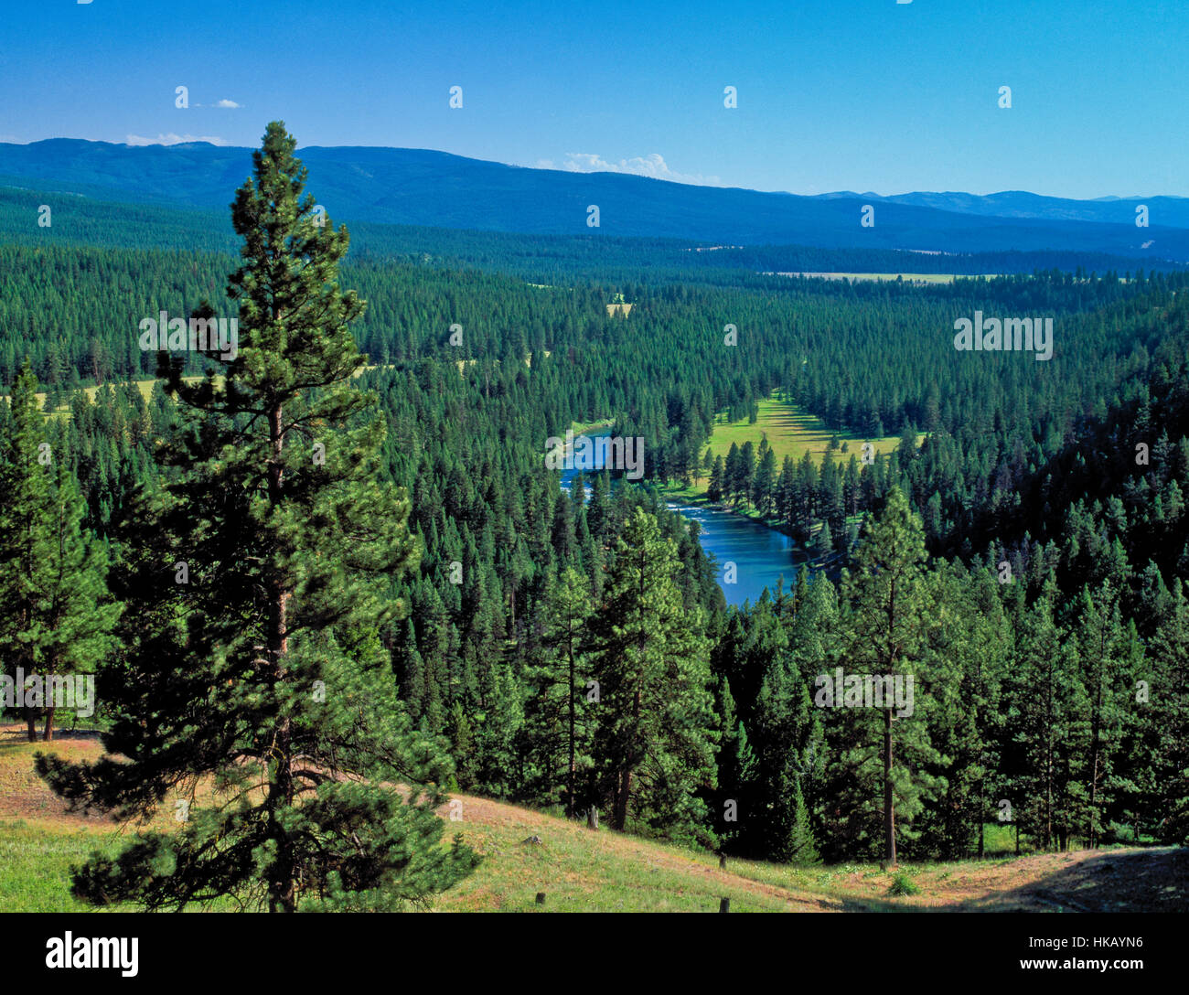 Mt 8959 hi-res stock photography and images - Alamy