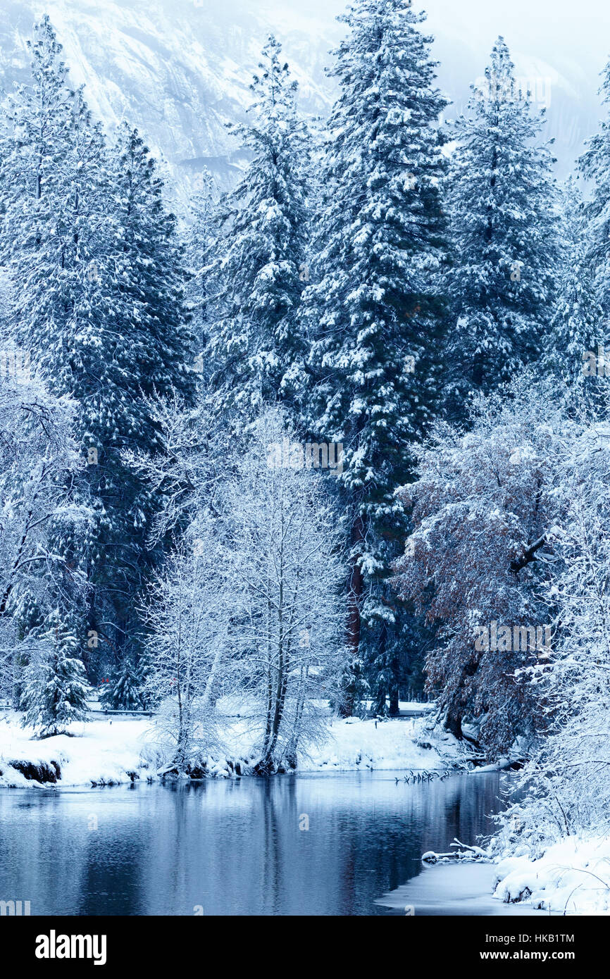 Merced river blanketed with snow, California, Yosemite National Park ...