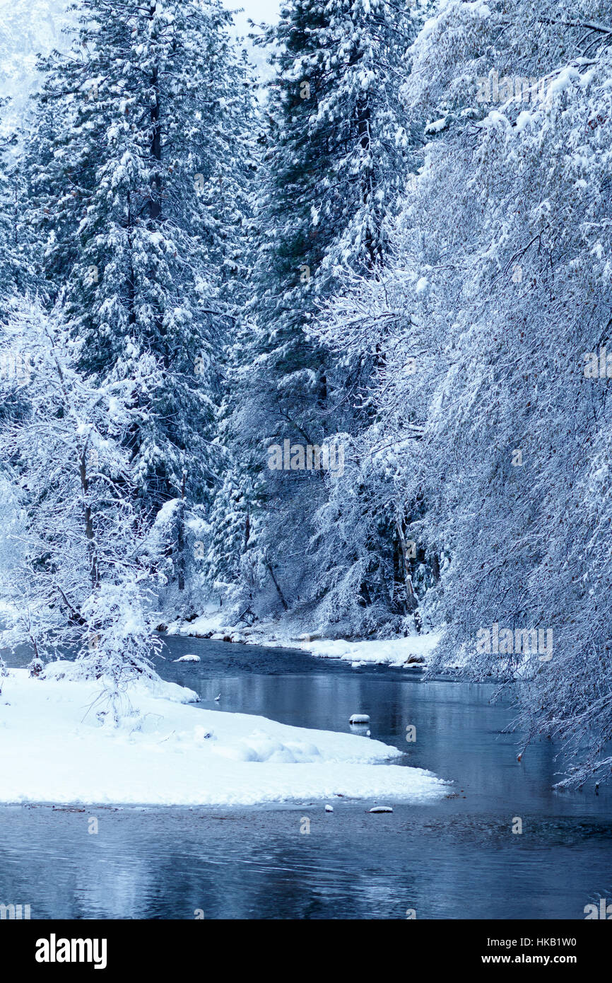 Merced river blanketed with snow, California, Yosemite National Park ...