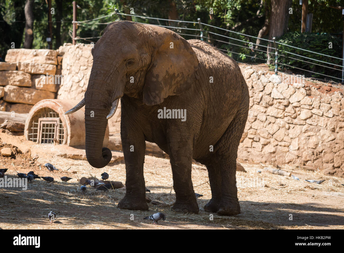 Ramat gan hi-res stock photography and images - Alamy