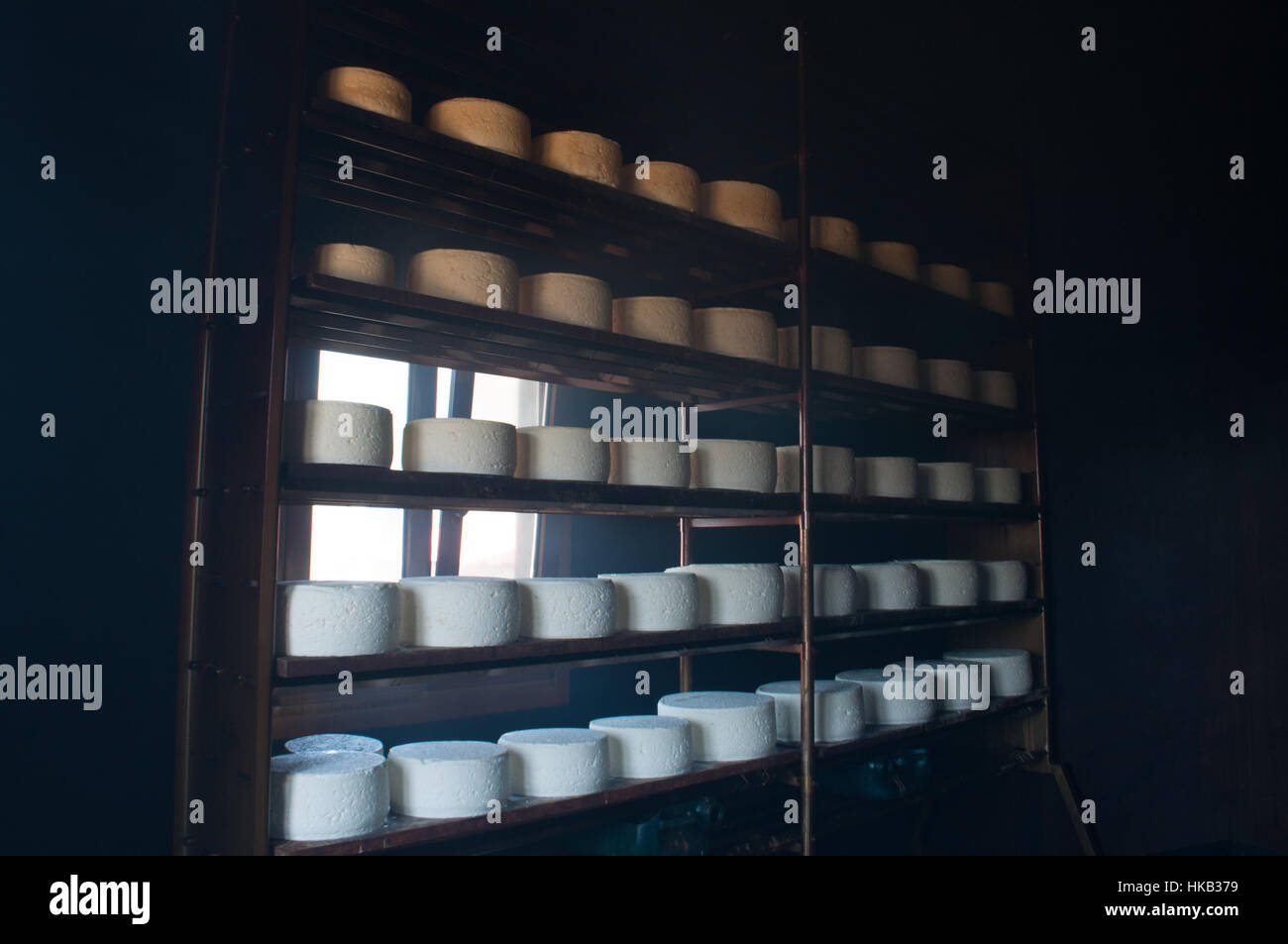 PDO Gamonéu cheese aging Stock Photo - Alamy