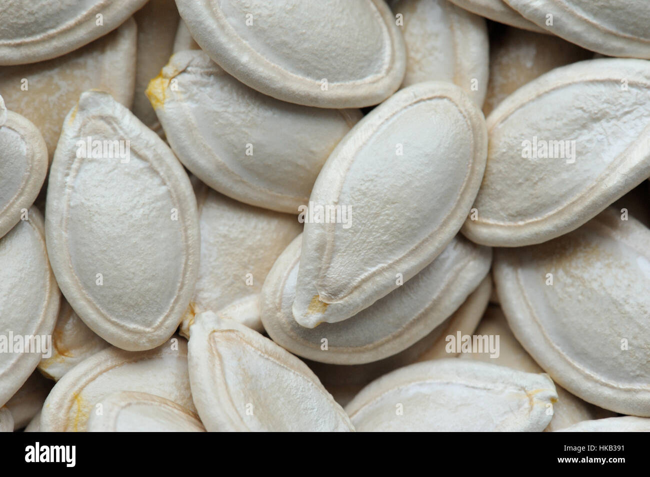 white pumpkin seeds Stock Photo - Alamy