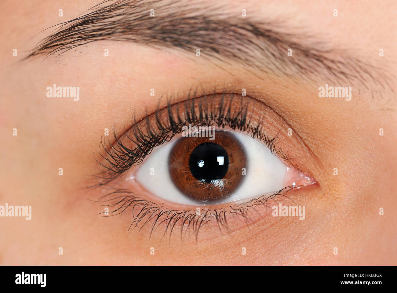 Close up of right eye of human Stock Photo - Alamy