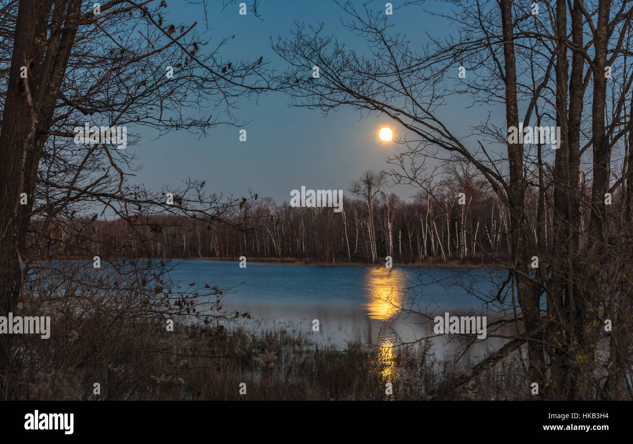 Moonlight over a wilderness lake in northern Wisconsin Stock Photo - Alamy