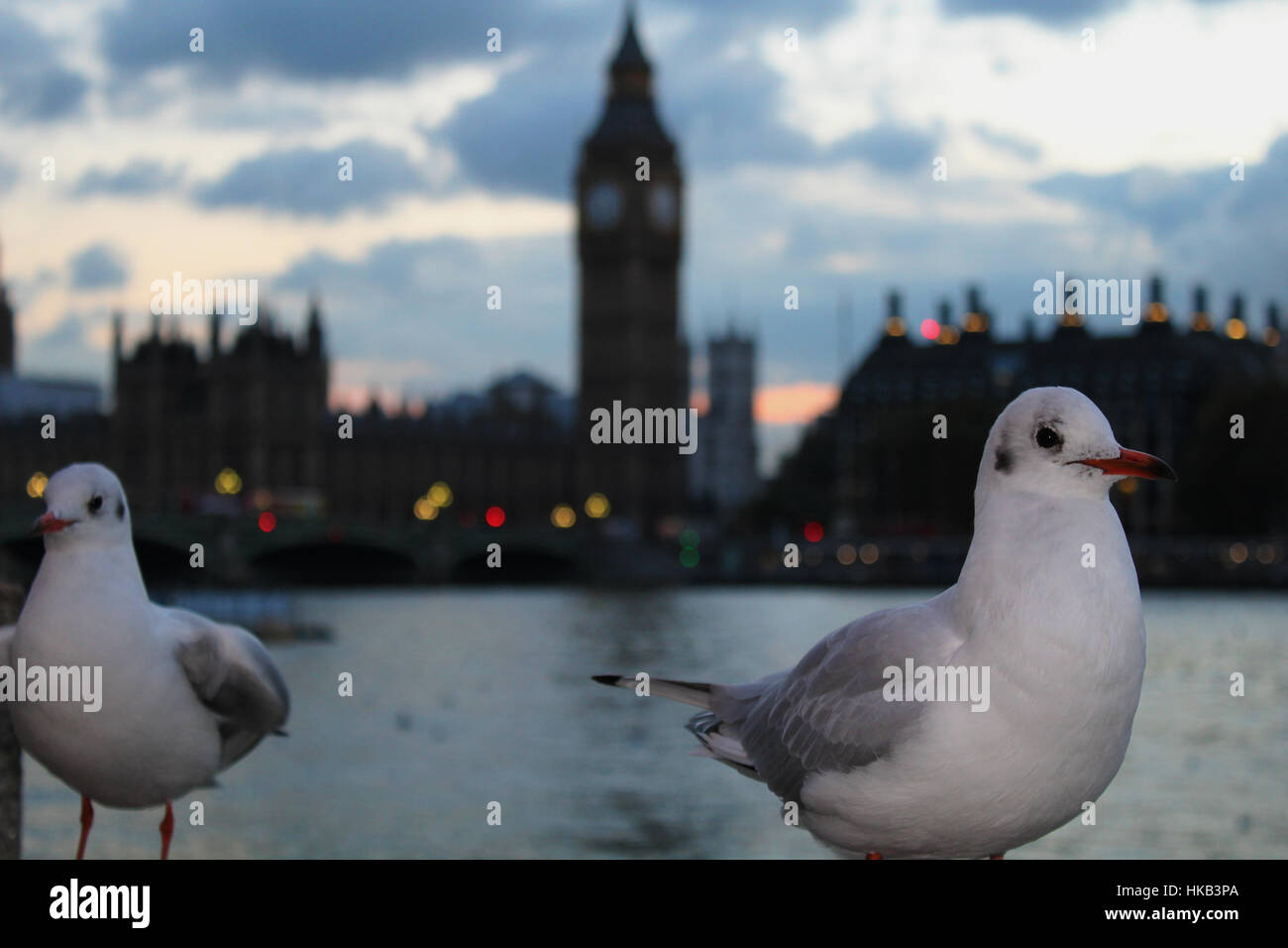 Birds eye thames hi-res stock photography and images - Alamy