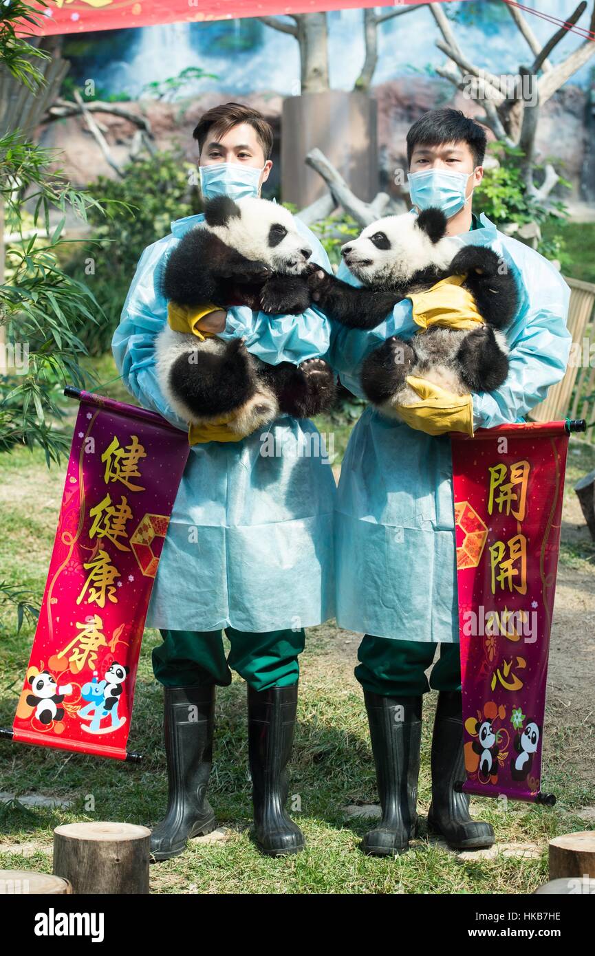 Macao, China. 27th Jan, 2017. Panda cubs "Jianjian" (L) and "Kangkang ...