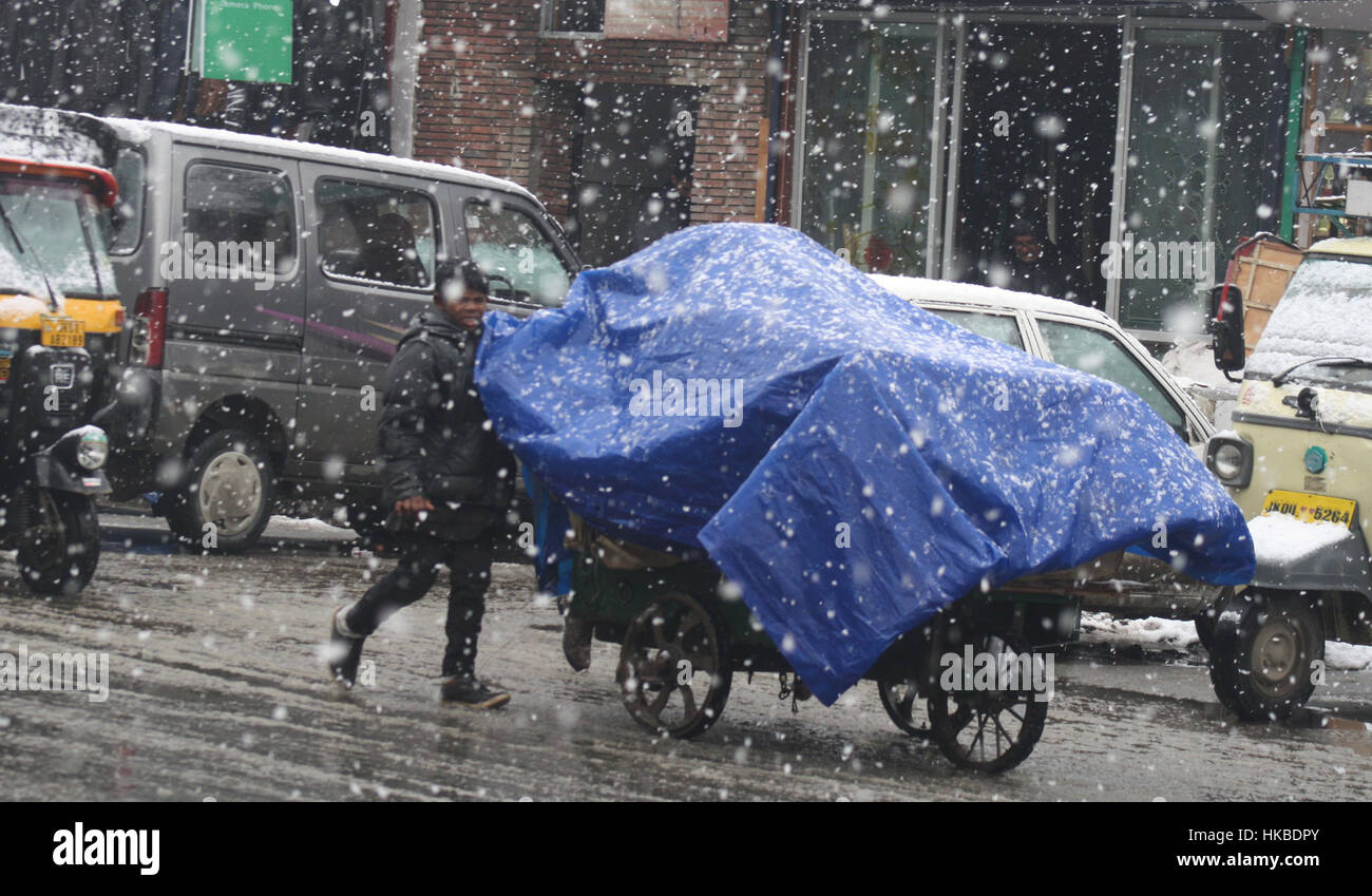 Hand carts hi-res stock photography and images - Alamy