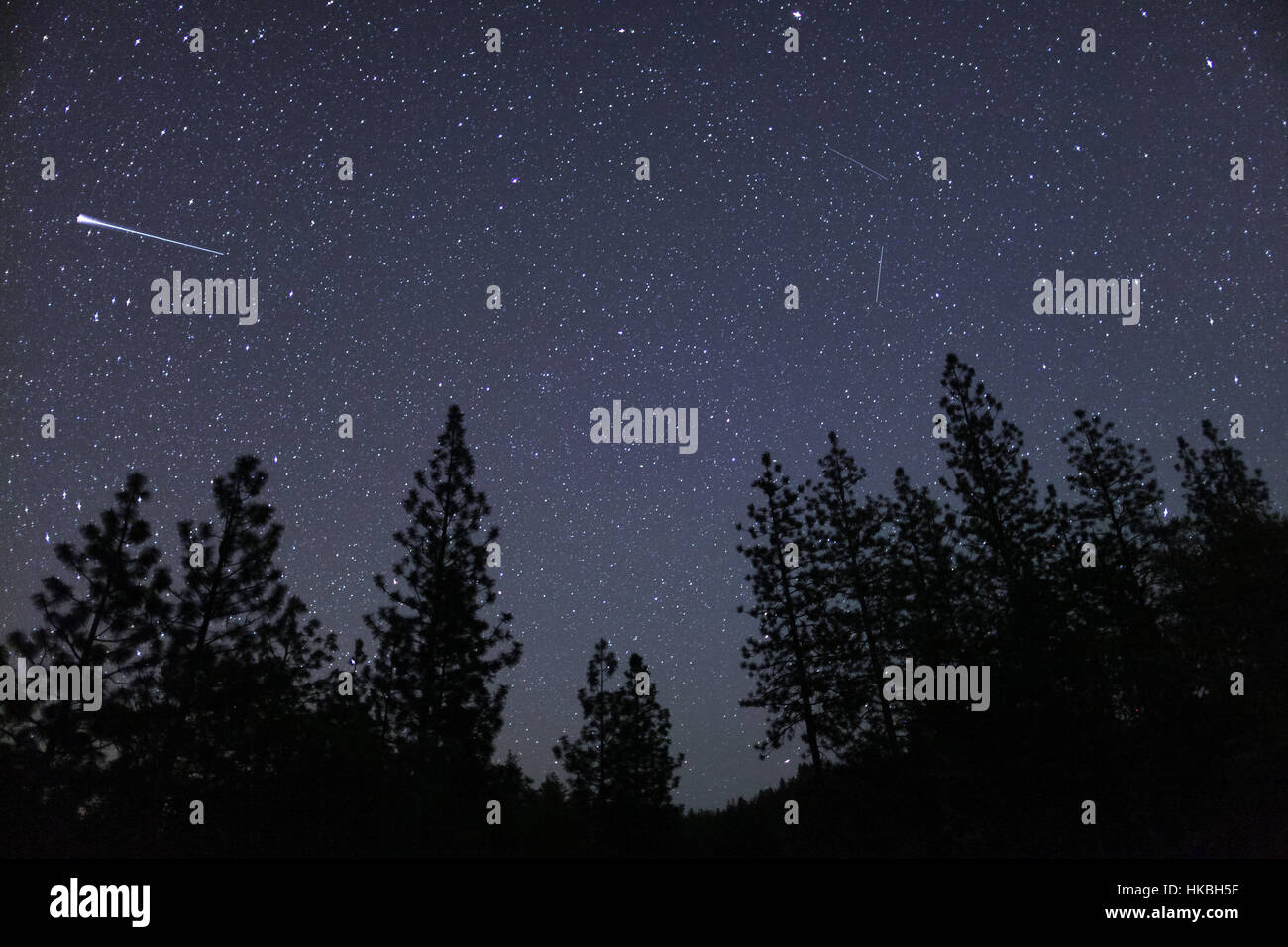 Meteor fireball over trees, Oregon, Ashland, Cascade Siskiyou National ...