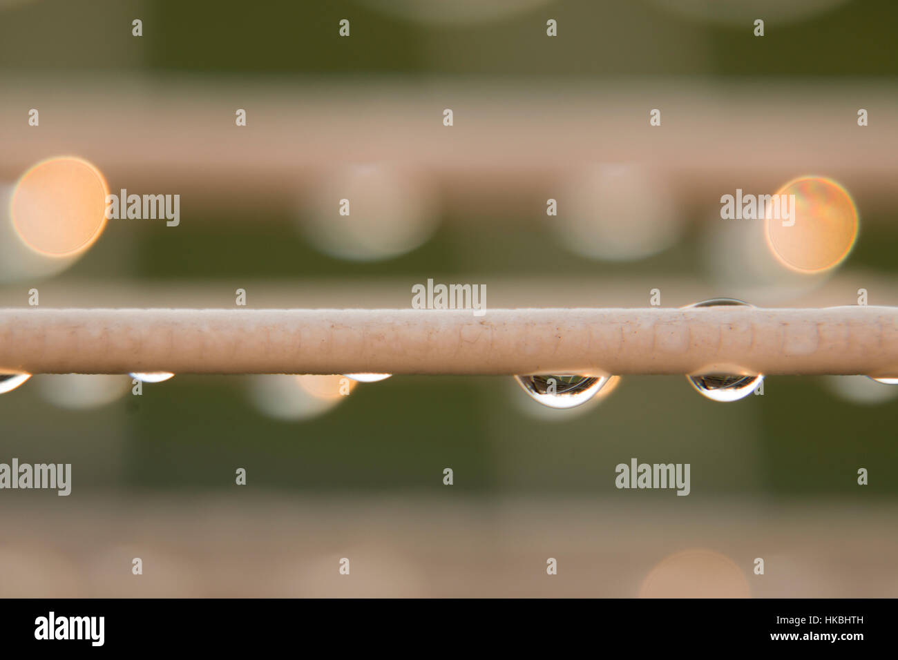 Raindrops on the washing line Stock Photo - Alamy