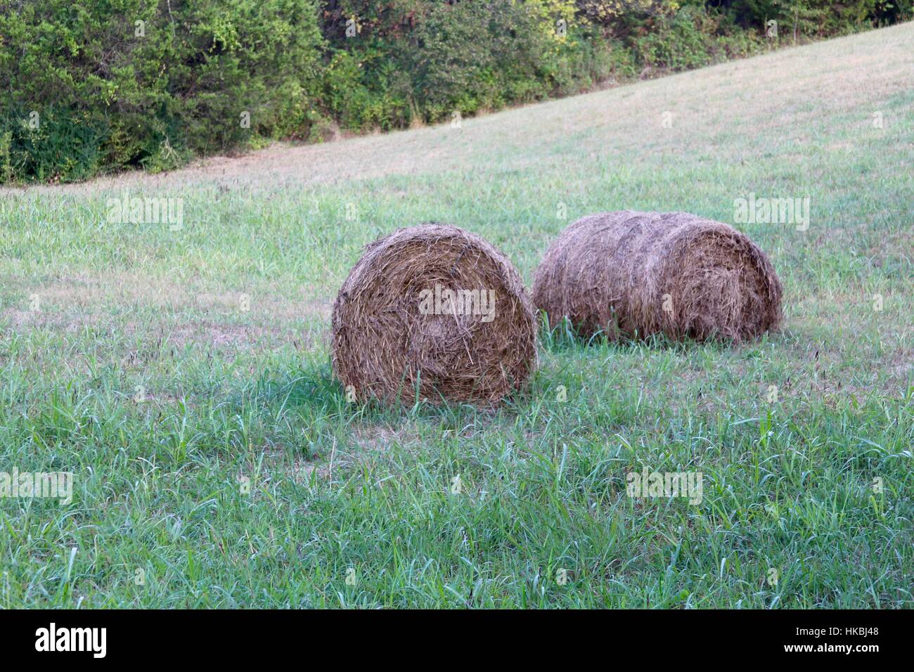 Big bales of hay hi-res stock photography and images - Alamy