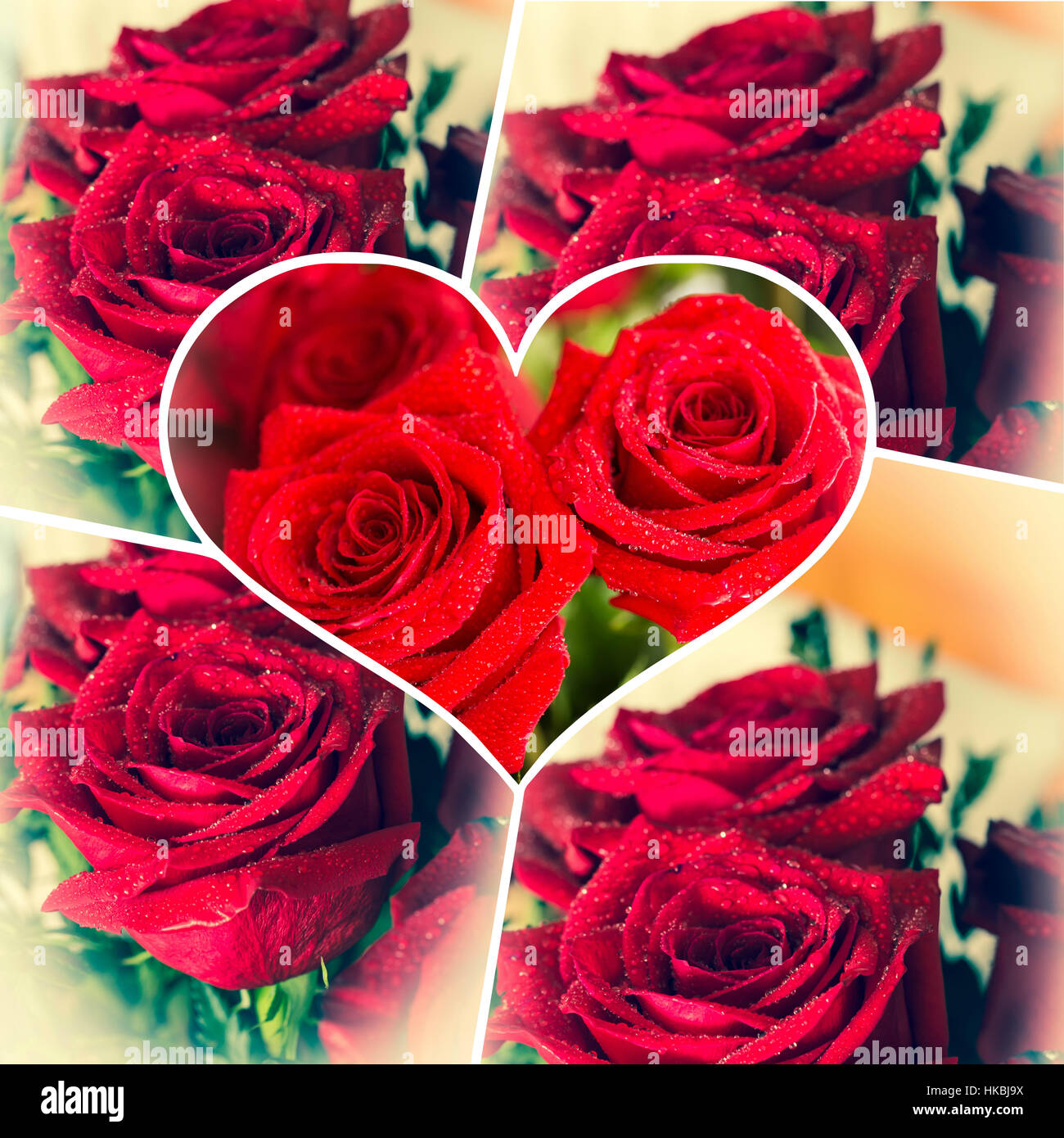 Collage of beautiful red rose macro shot close up Stock Photo - Alamy