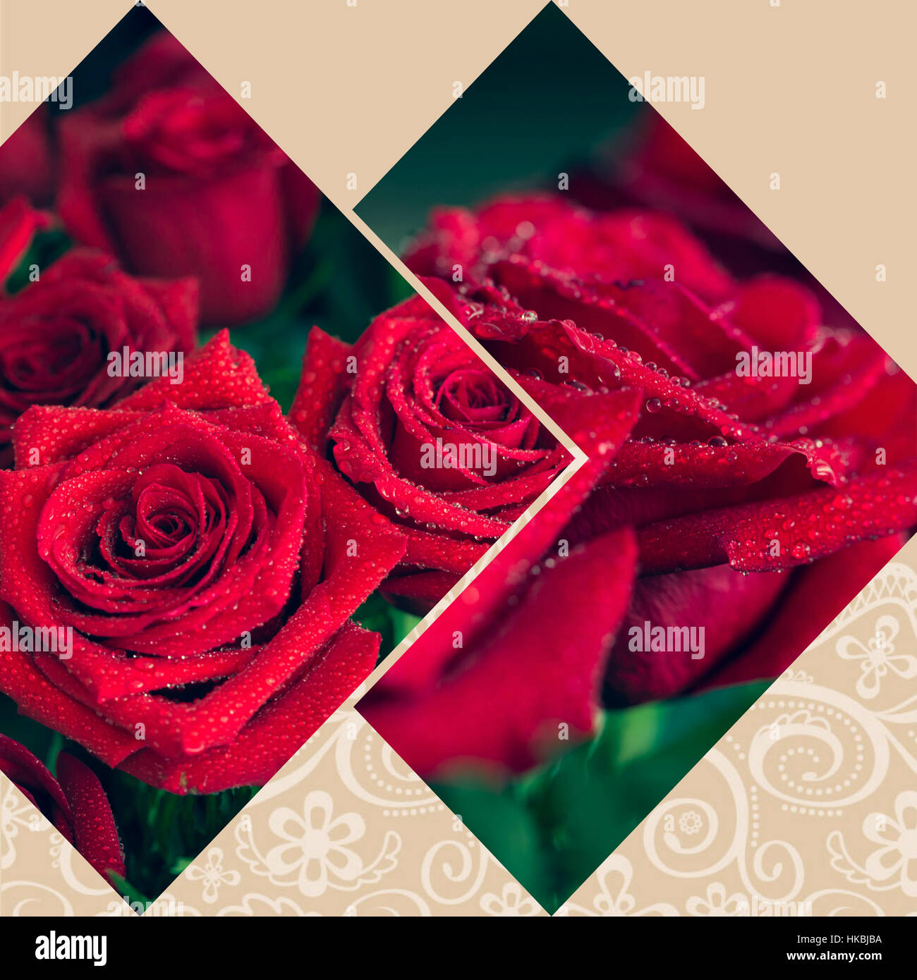 Collage of beautiful red rose macro shot close up Stock Photo - Alamy