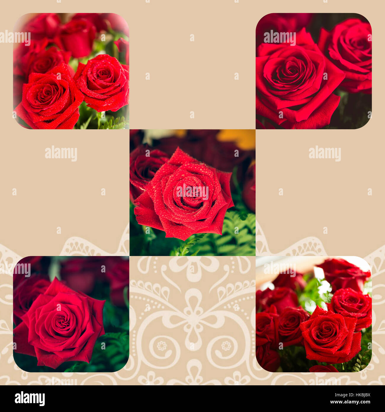 Collage of beautiful red rose macro shot close up Stock Photo - Alamy