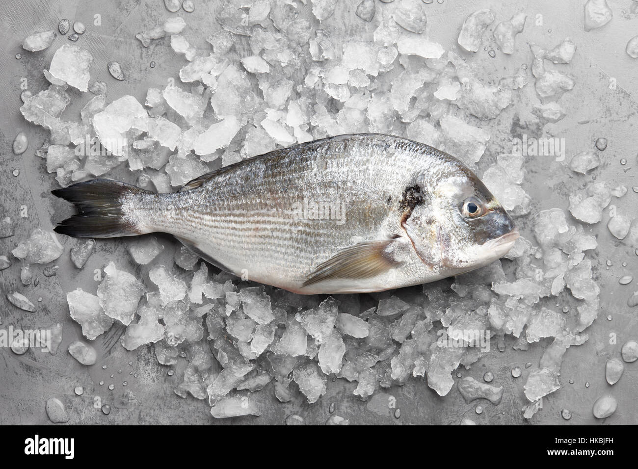 Orada hi-res stock photography and images - Alamy