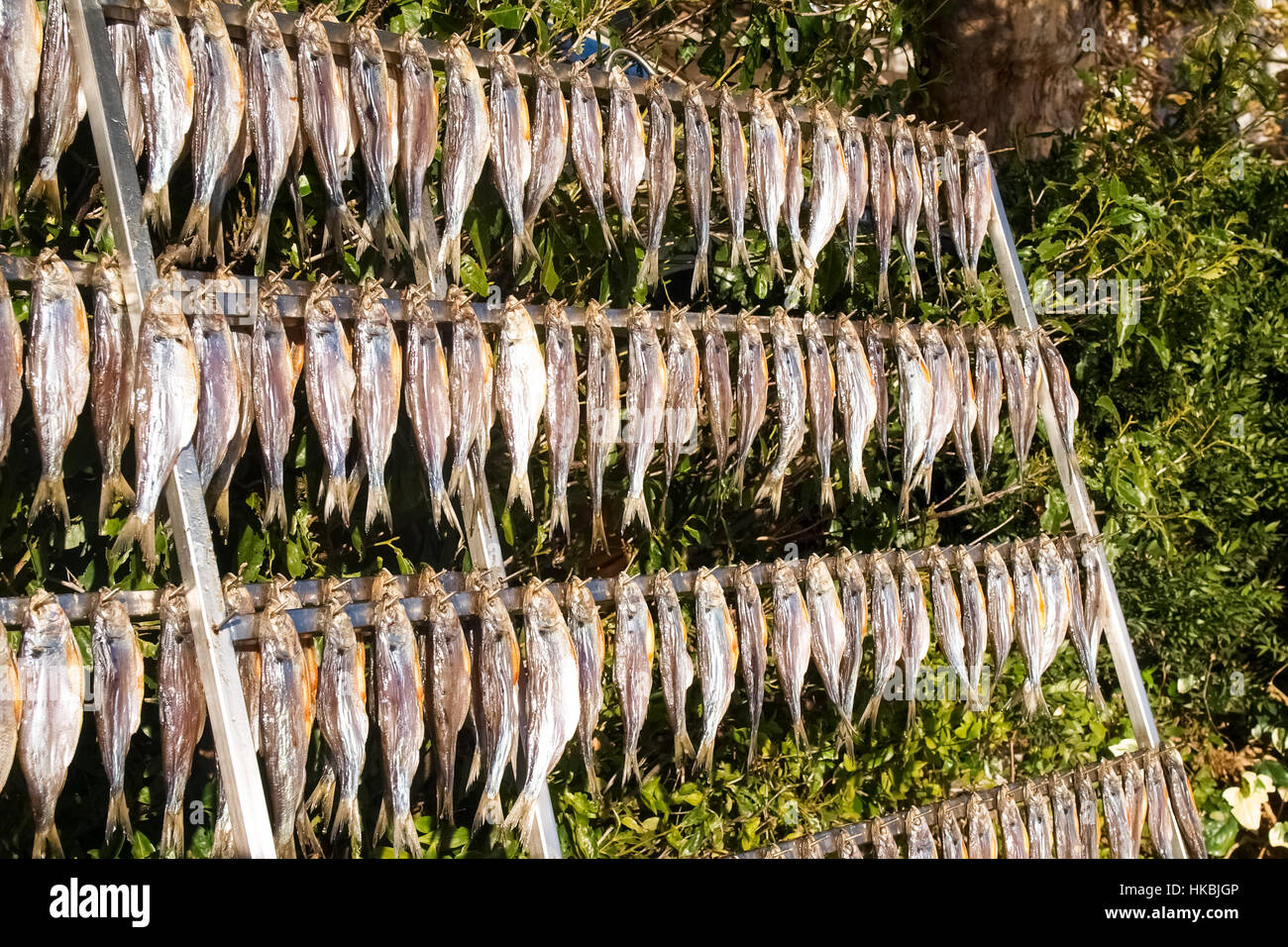 Lake Como, Italy. Typical fish named misultin dried in the sun Stock ...
