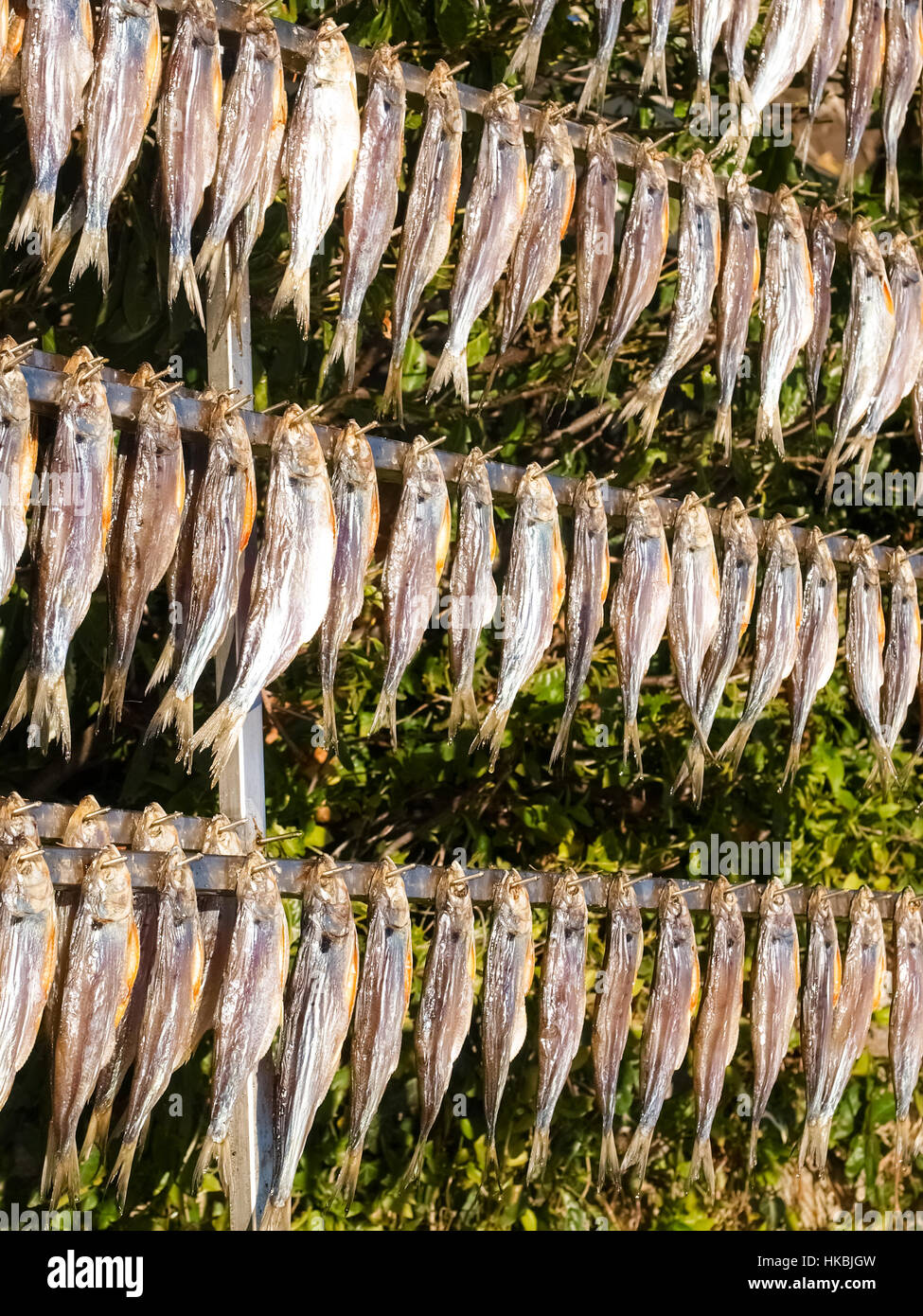 Lake Como, Italy. Typical fish named misultin dried in the sun Stock ...