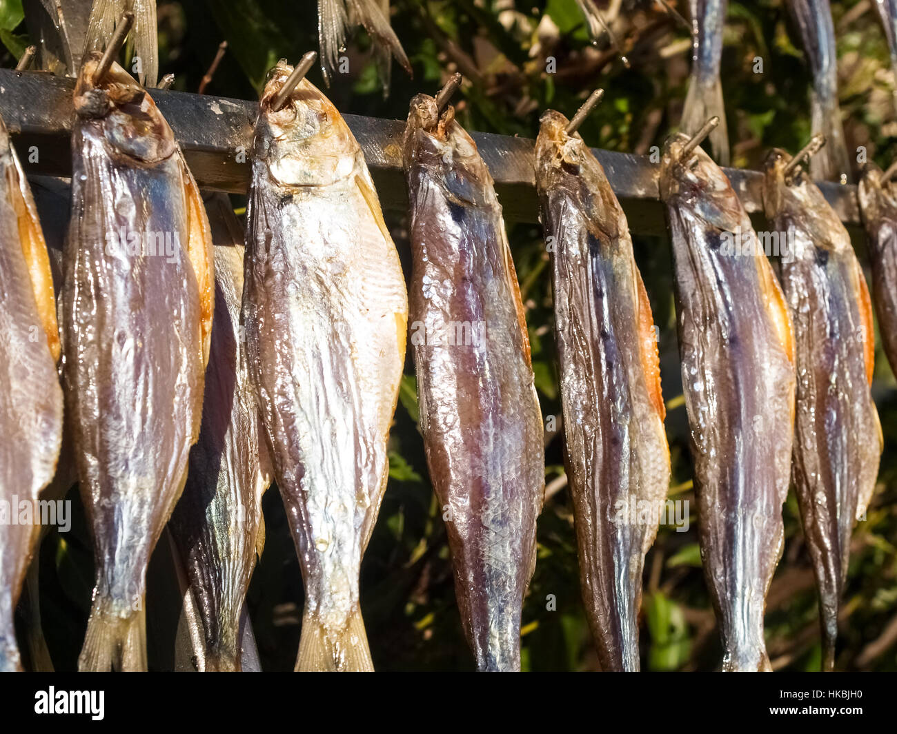 Lake Como, Italy. Typical fish named misultin dried in the sun Stock ...