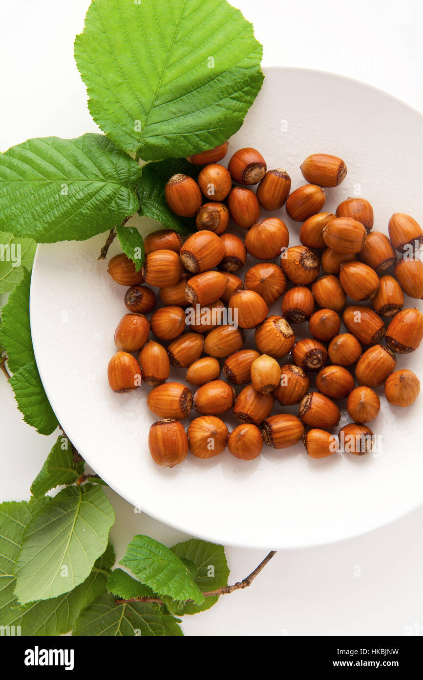 hazelnuts in plate on white Stock Photo - Alamy