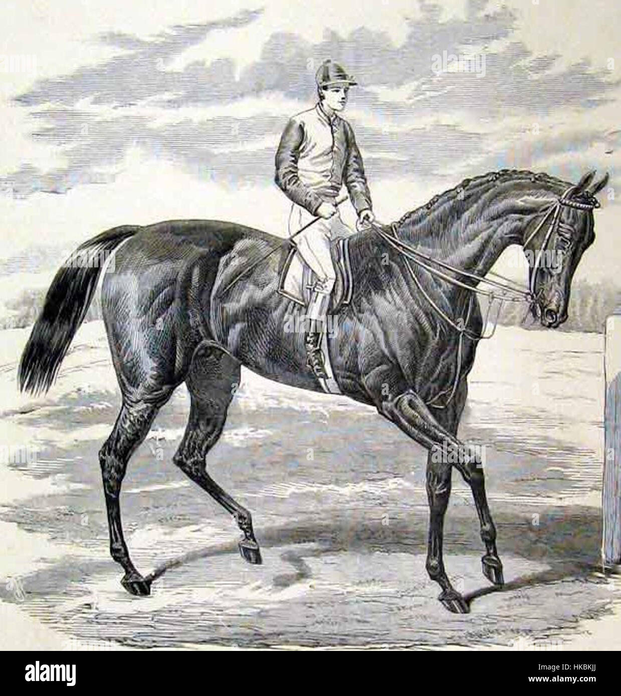 Petrarch was a famous horse depicted in art, known for its connection ...