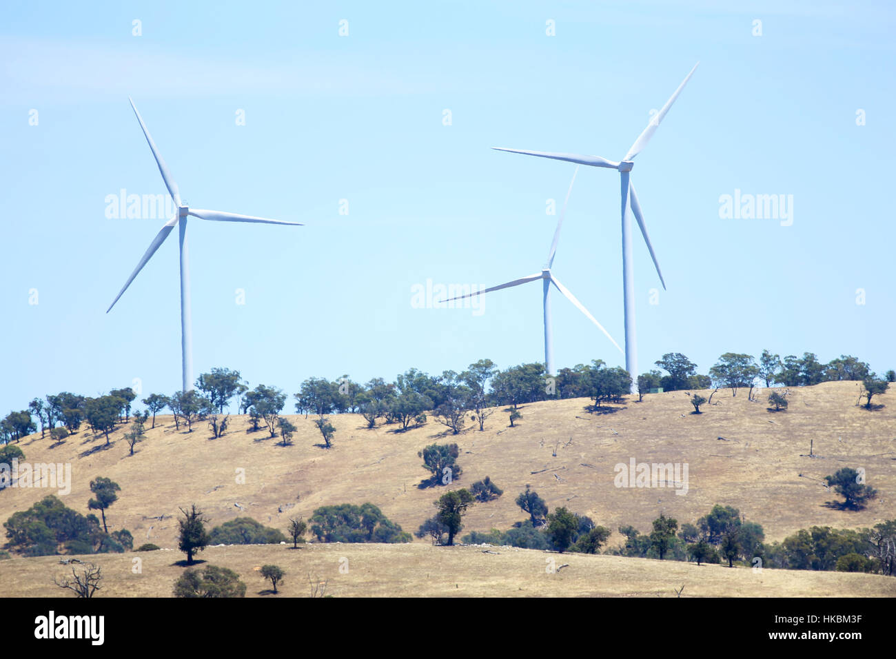 Australian bush setting hi-res stock photography and images - Alamy