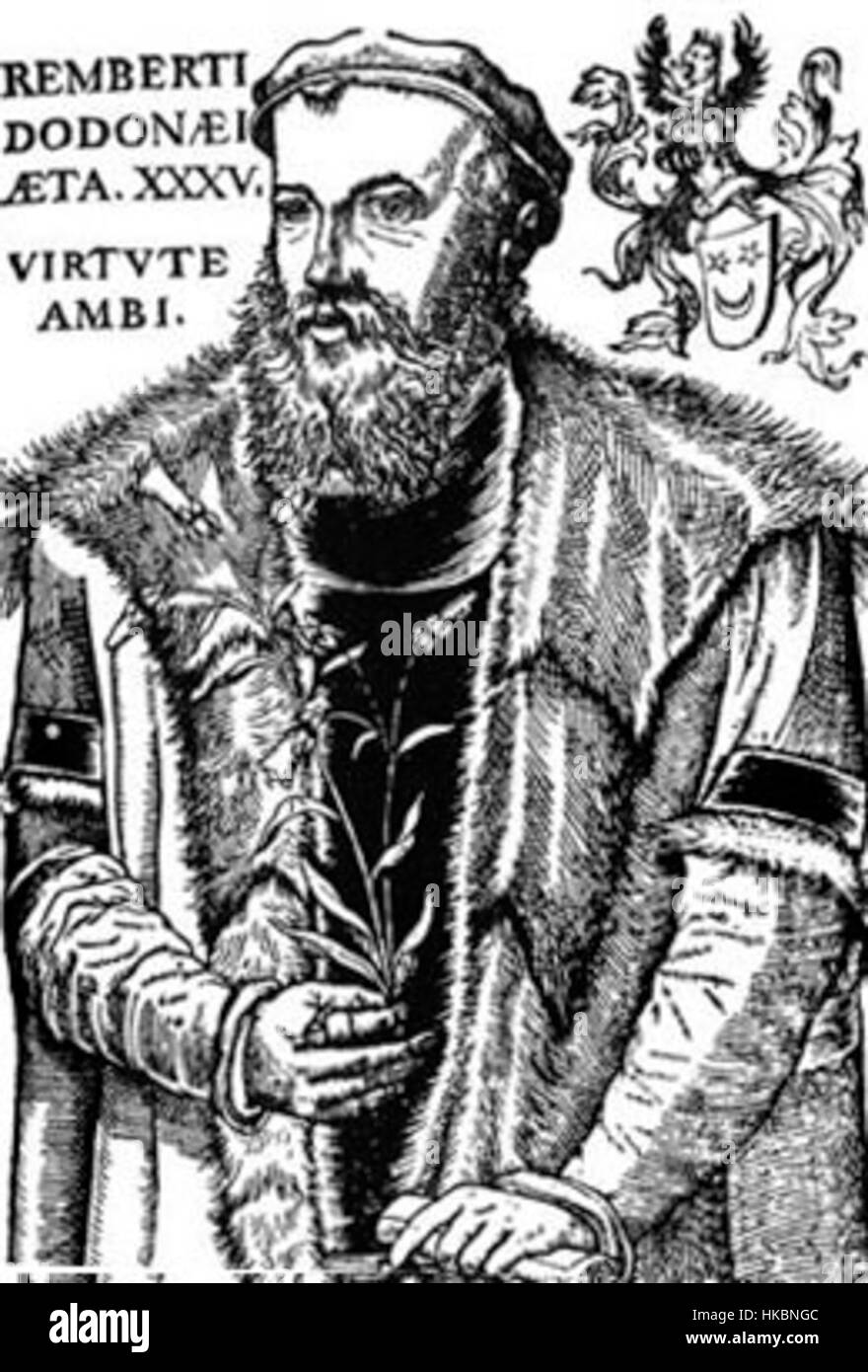 Rembert High Resolution Stock Photography and Images - Alamy