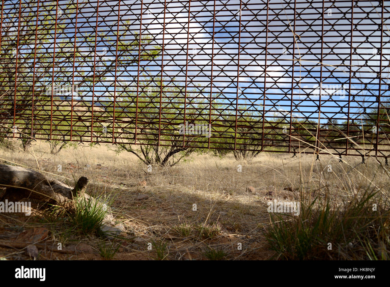 Porous borders hi-res stock photography and images - Alamy