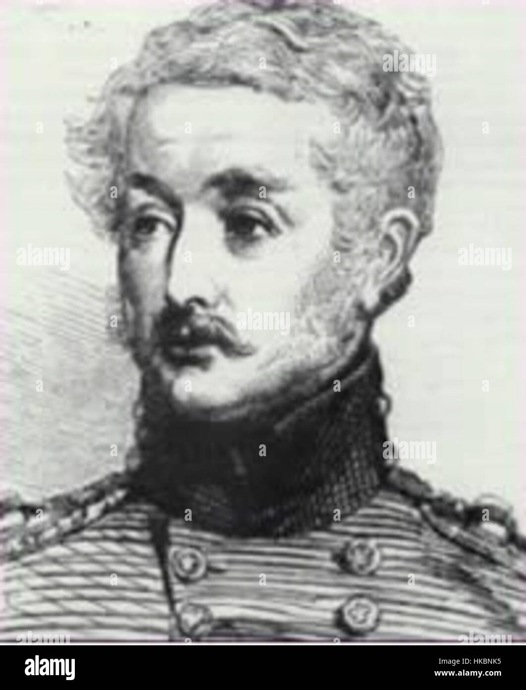 The portrait of the 4th Lord Dynevor, an aristocratic figure, reflects ...