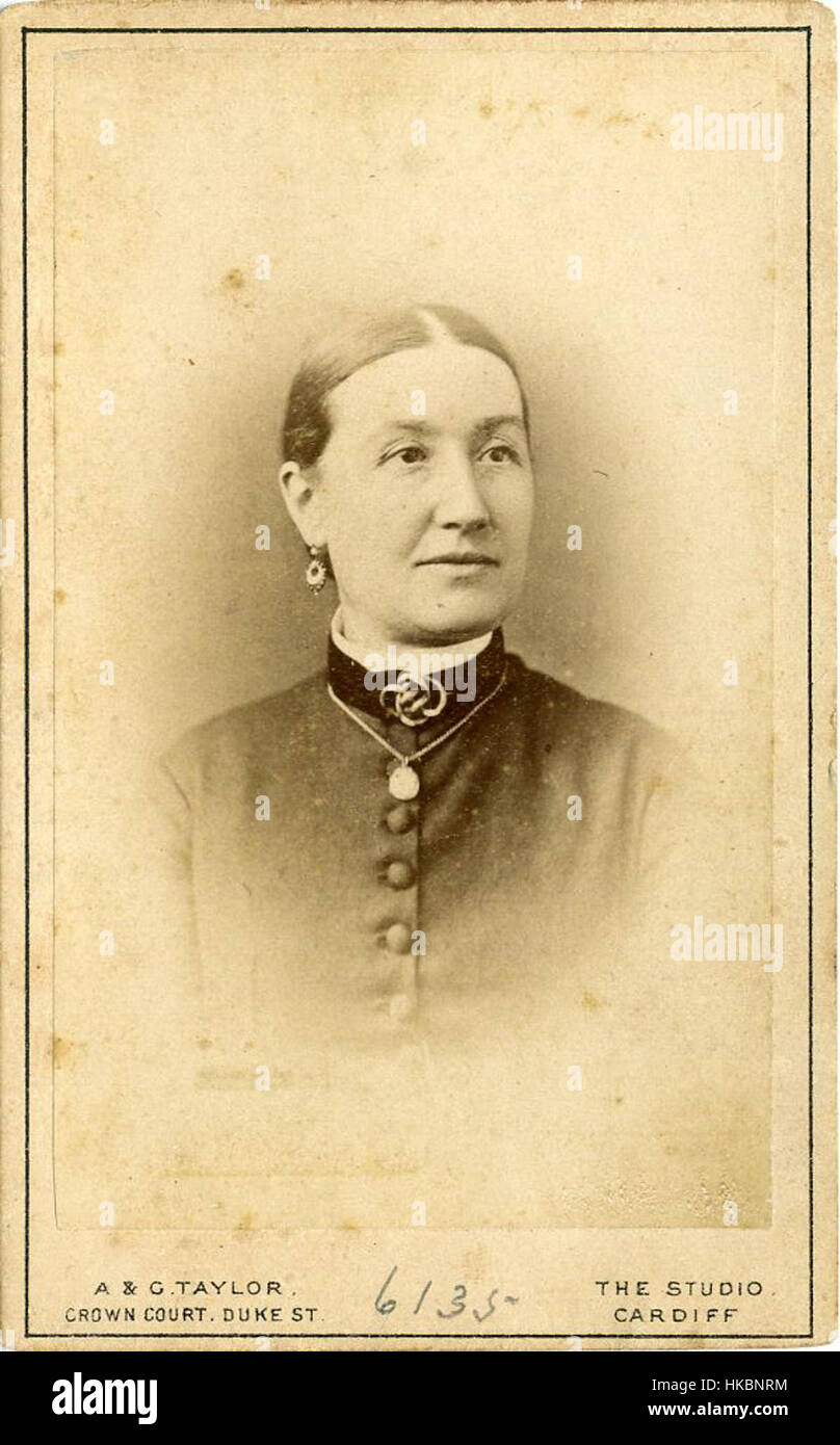 An artwork by A and G Taylor of Cardiff, exemplifying the artists ...