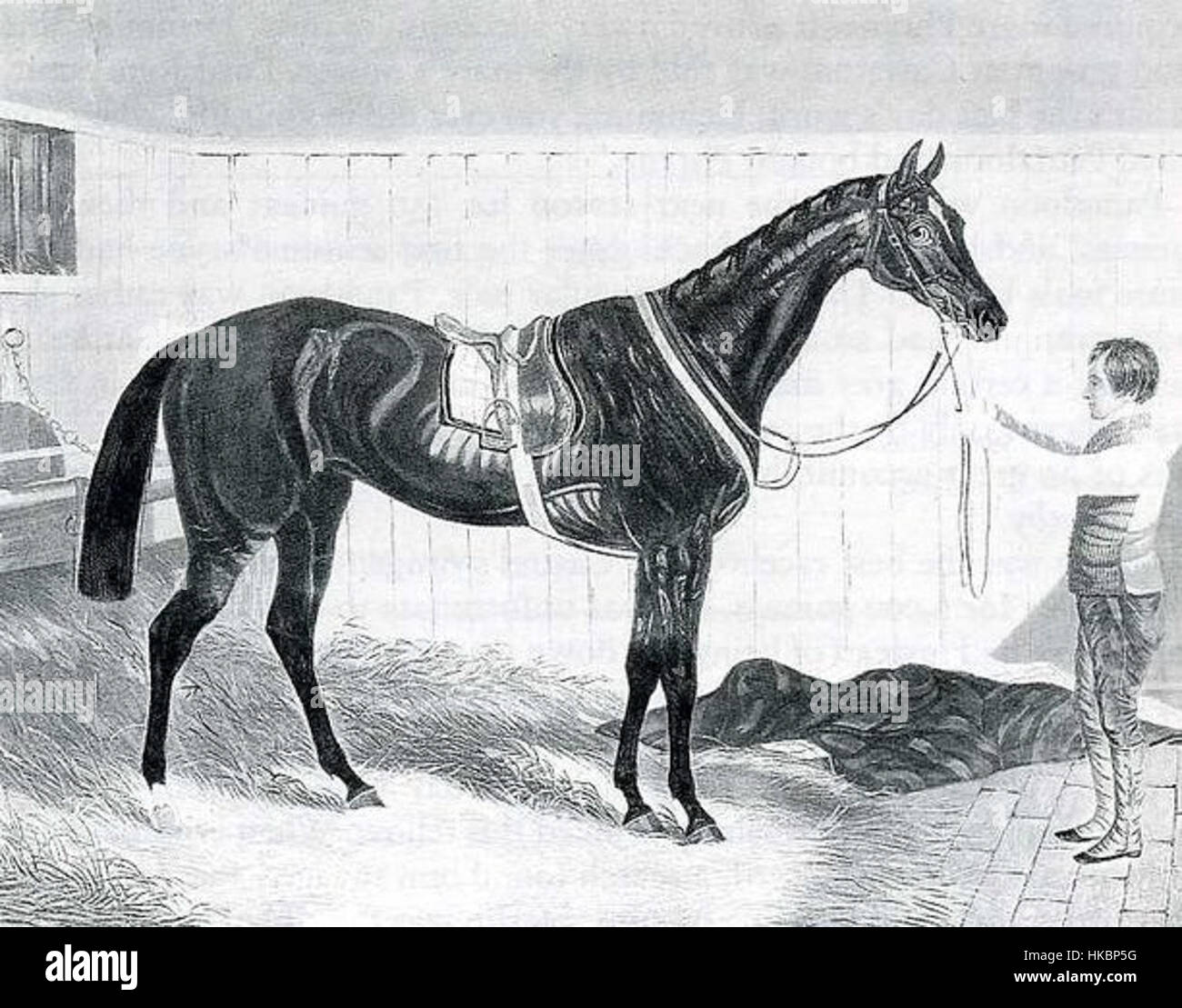 Alice hawthorn hi-res stock photography and images - Alamy