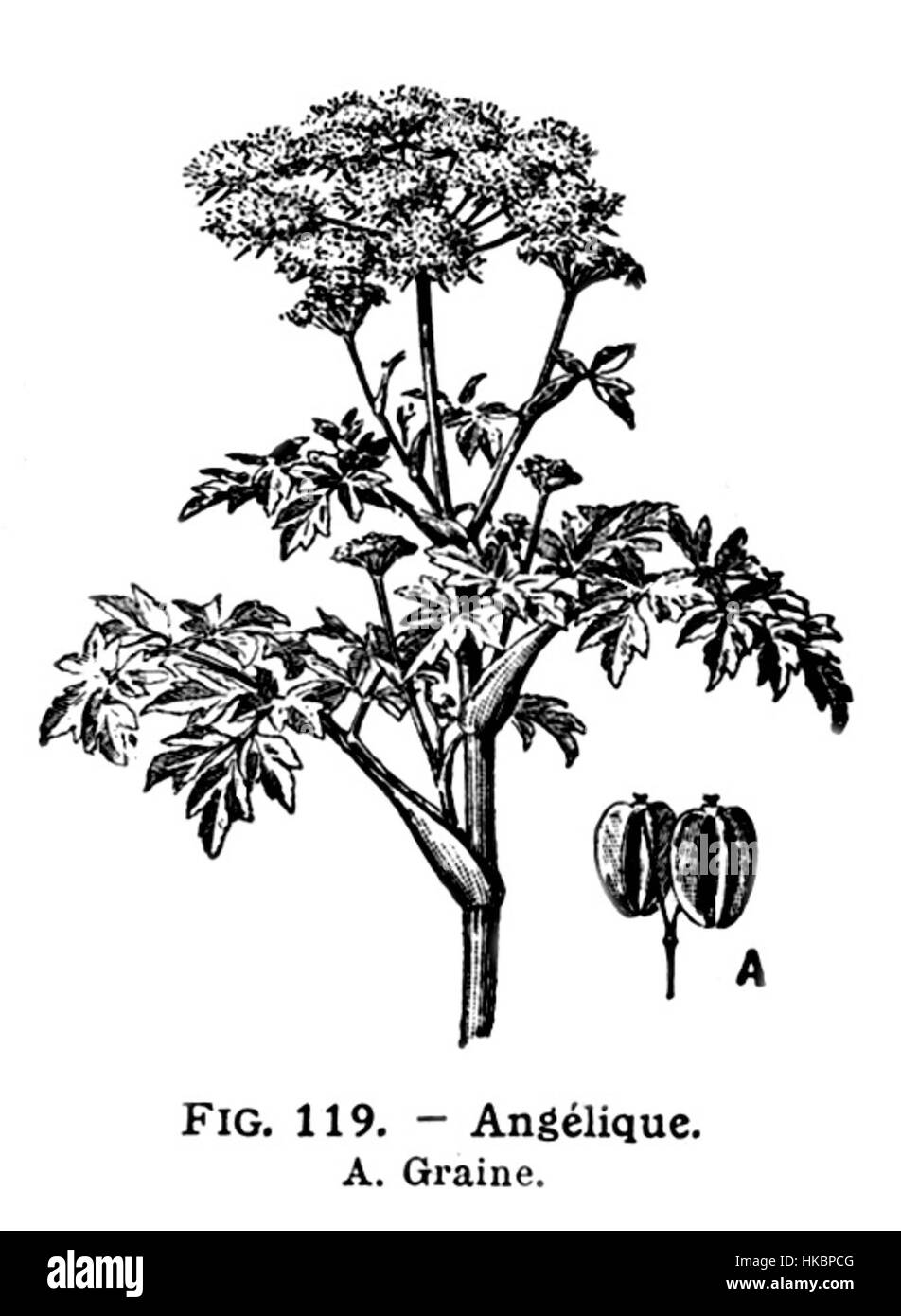 Angelique art gallery hi-res stock photography and images - Alamy