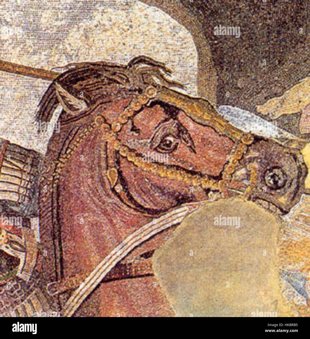 Alexander the great in battle persian king darius iii hi-res stock ...