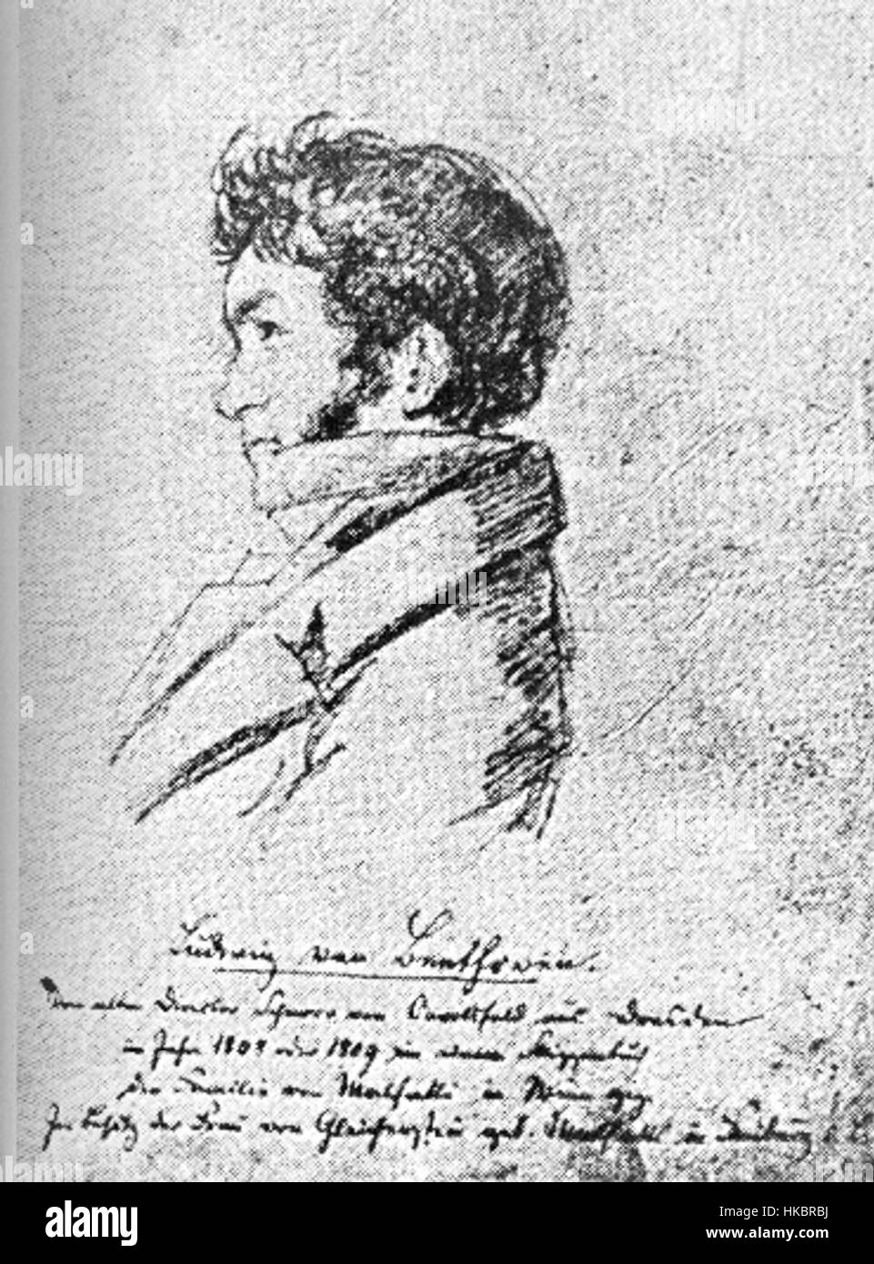 This painting of Ludwig van Beethoven, created by Schnorr von ...