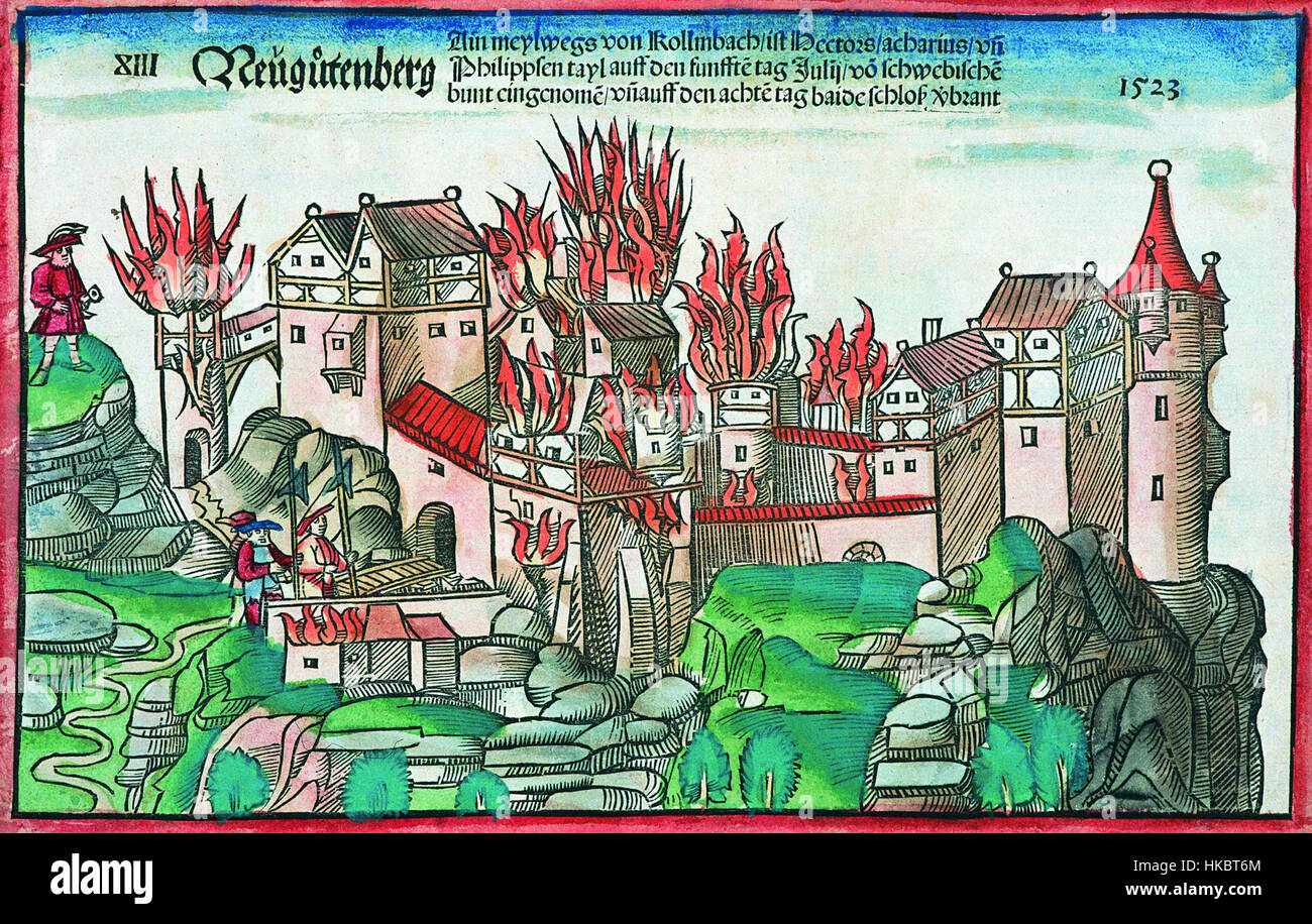 This artwork showcases the Burgen Neu Guttenberg, a historical castle ...