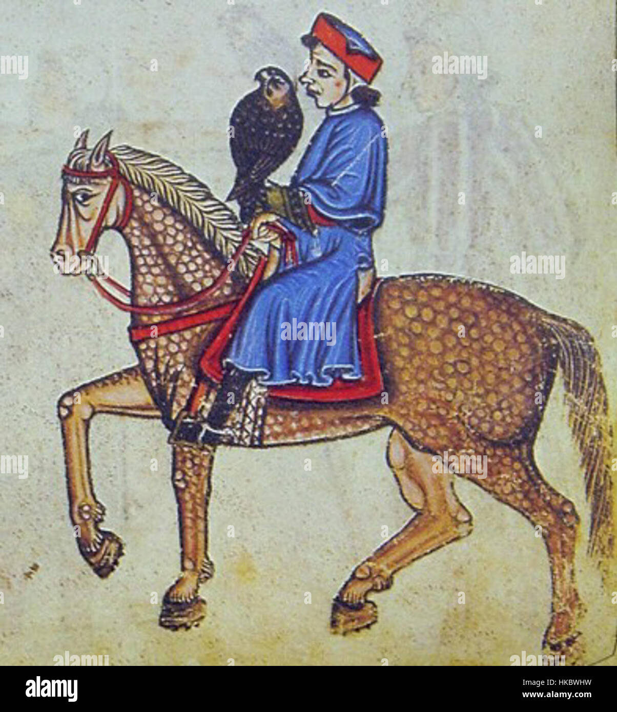 'De arte venandi cum avibus' (The Art of Hunting with Birds), written ...