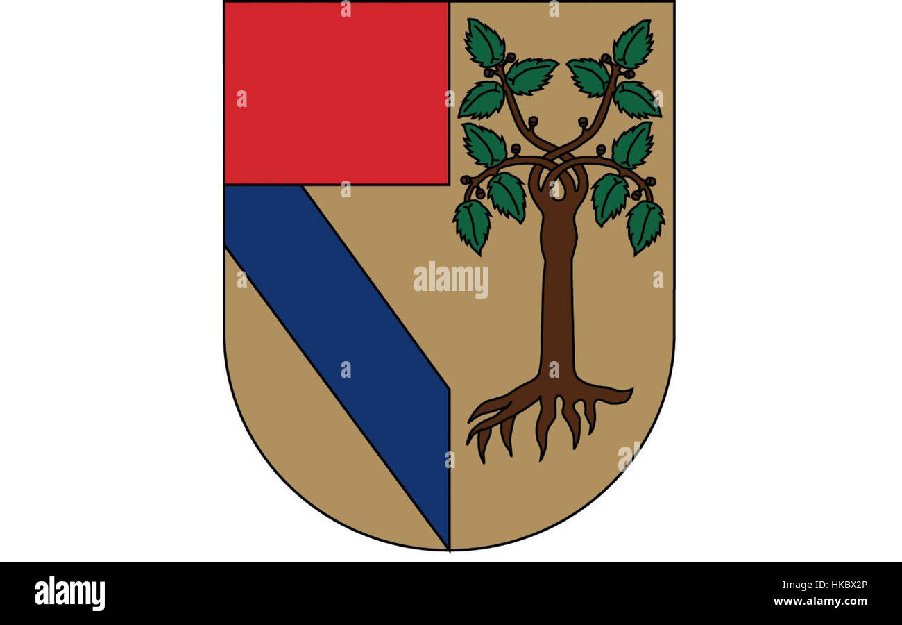 'Escudo UP' is a visual piece focused on emblematic symbols and bold ...