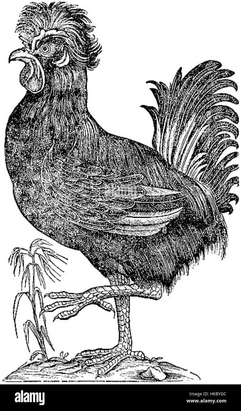 Roman scholars painting hi-res stock photography and images - Alamy