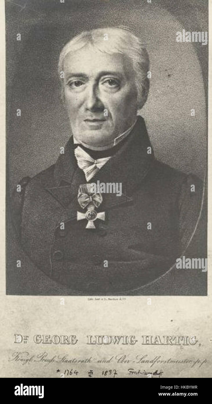 This work by Georg Ludwig Hartig captures the detailed and refined ...
