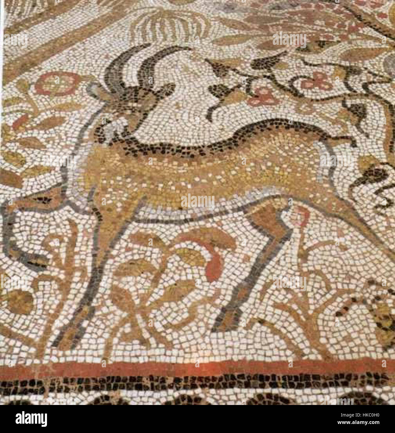 Heraclea hi-res stock photography and images - Alamy