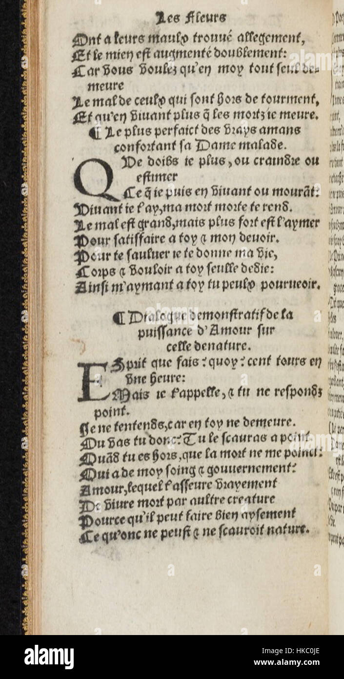 'Hecatomphile Fleurs 0087' is a botanical illustration featuring a ...