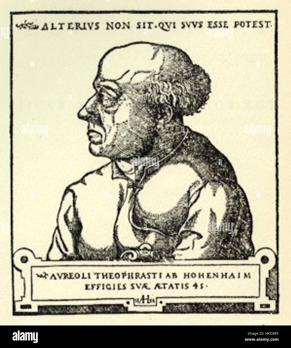 The painting 'Paracelsus' by Hans Hirschvogel depicts the famous Swiss ...