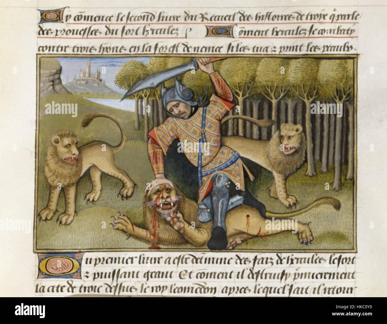 Invincible creatures hi-res stock photography and images - Alamy